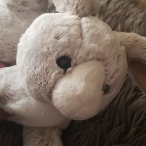 Toys | Stuffed Animal Bunny | Poshmark